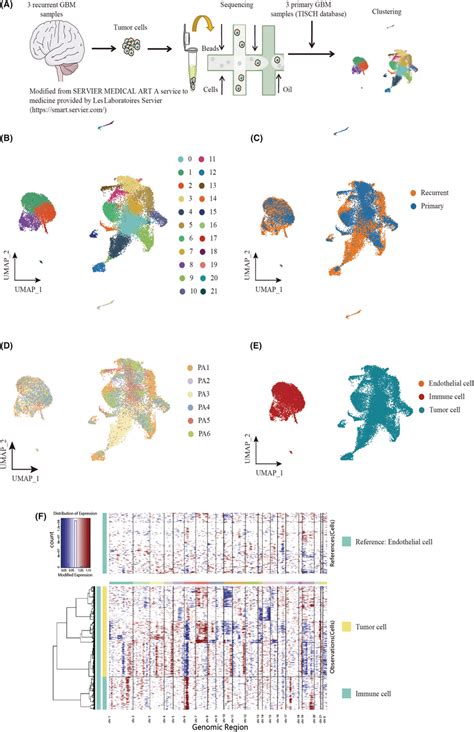 Landscape Of Cell Composition In Primary And Recurrent Glioblastoma