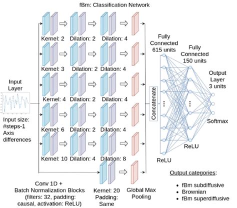 diagram showing the fbm subclassification network designed to