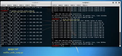 2017 2018 2 20179204 python黑帽子 黑客与渗透测试编程之道 csdn博客