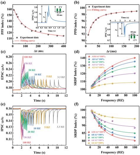 a ppf behavior triggered by a pair of presynaptic spikes and ppf index