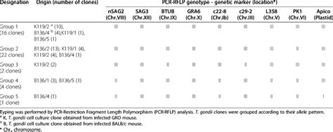 Multilocus Genotyping Of Toxoplasma Gondii Clones Isolated From Download Table