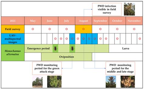Remote Sensing Free Full Text Detection Of The Monitoring Window