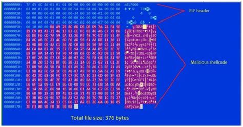 New Linux Malware Combines Unusual Stealth With A Full Suite Of