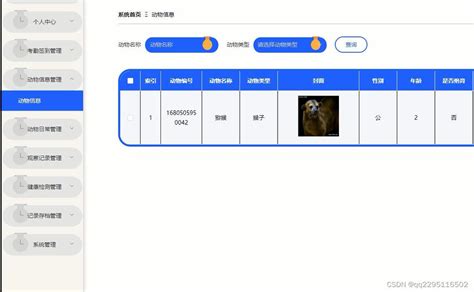 Vue Springboot基于javaweb的宠物店兽医站管理系统基于web的宠物管理系统开发模式 Csdn博客