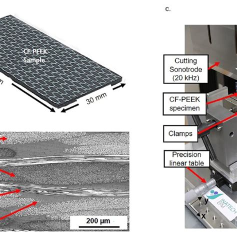 A Extracted Cf Peek Specimen With Geometry B Light Optical Download Scientific Diagram