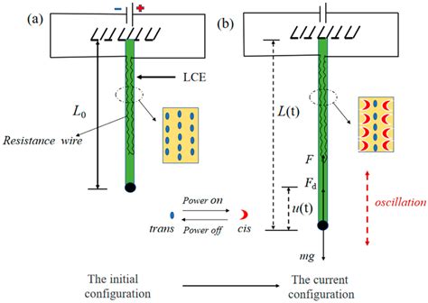 Schematic Diagram Of A Lce Spring Oscillator Under Periodic