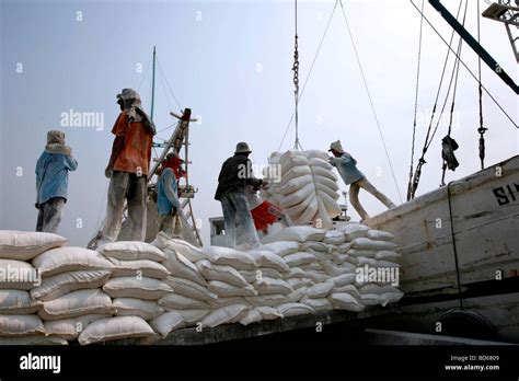 Java Island Indonesia Britannica