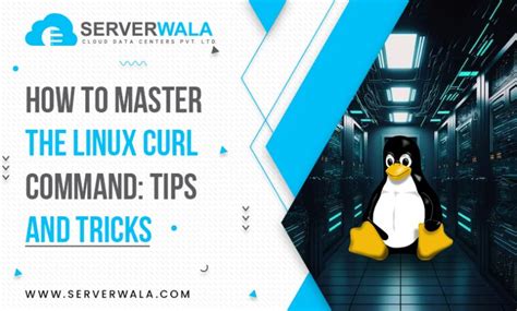 how to master the linux curl command tips and tricks