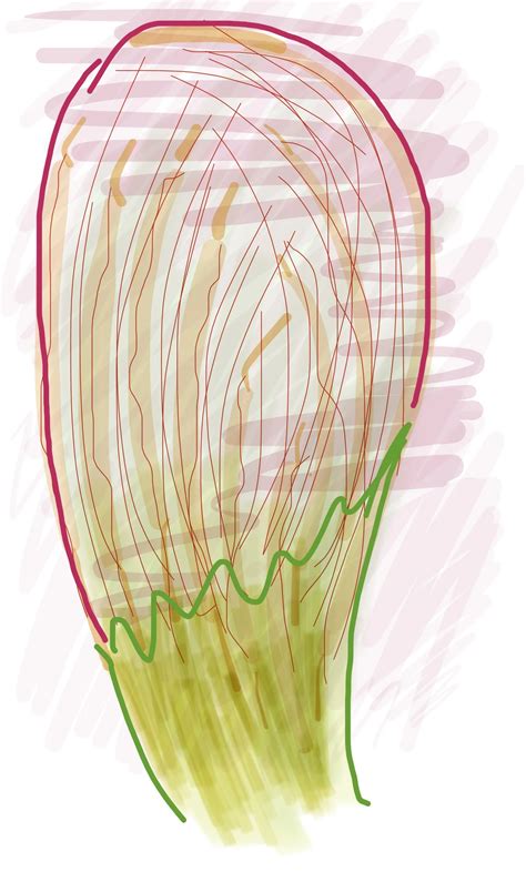 Perrins Textures Doodles Swab Tip Texture Perrins Textures Doodles Swab Tip Texture