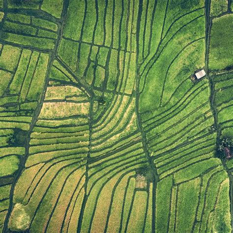 Field Trial Analysis Complete Guide Alteia