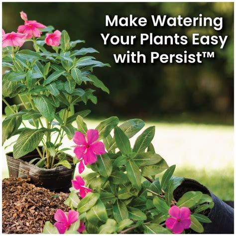 persist on linkedin persist persistncp biochar