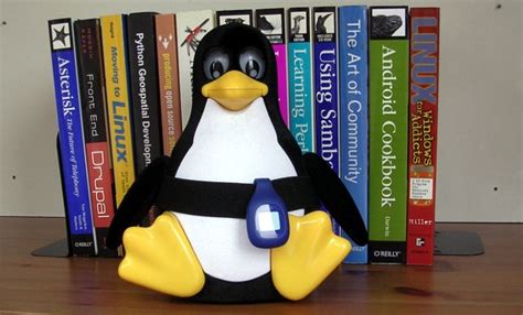 Can You Sync Your Fitbit With A Raspberrypi Why Yes Yes You Can Rraspberrypi