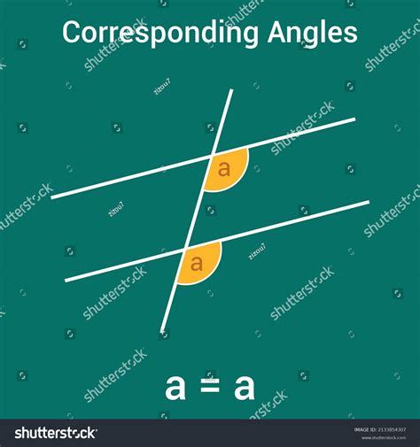 Angles Parallel Lines Corresponding Angles Stock Vector Royalty Free
