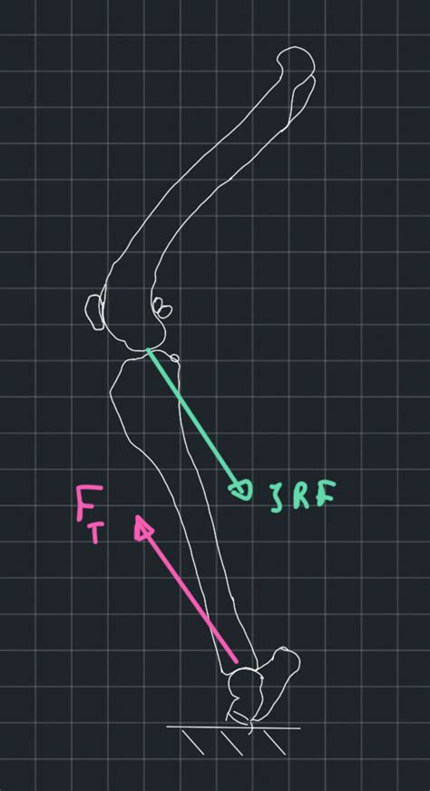Joint Contact Reaction Force Part 1