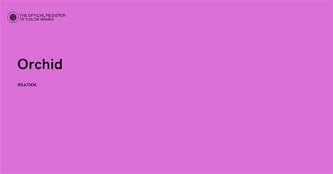 Orchid Color Da70d6 The Official Register Of Color Names