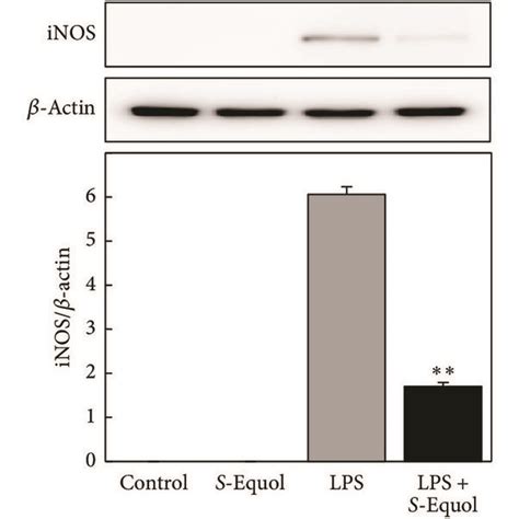 Chemical Structures Of S Equol Genistein And Daidzein Download Scientific Diagram