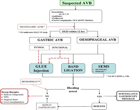 Endoscopy Management Algorithms Role Of Cyanoacrylate Glue Injection And Self Expanding Metal