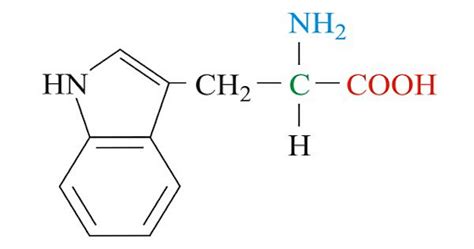 Tryptophan Definition Properties Functions And Sources