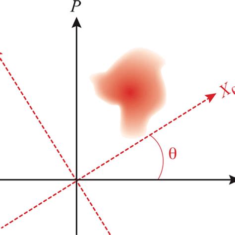 two different bases x p and {x} { theta } {p} { theta } of