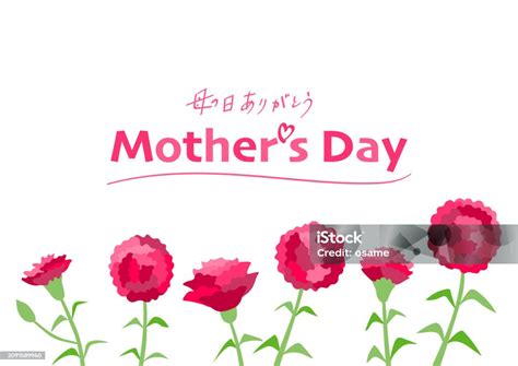 어머니의 날에 대 한 벡터 일러스트 레이 션입니다 빨간 카네이션 꽃 디자인입니다 카네이션에 대한 스톡 벡터 아트 및 기타 이미지 카네이션 5월 감사 Istock