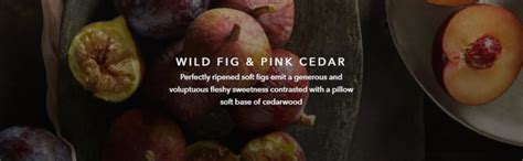 Grace Cole Wild Fig And Pink Cedar Hand Wash 1 X 300ml