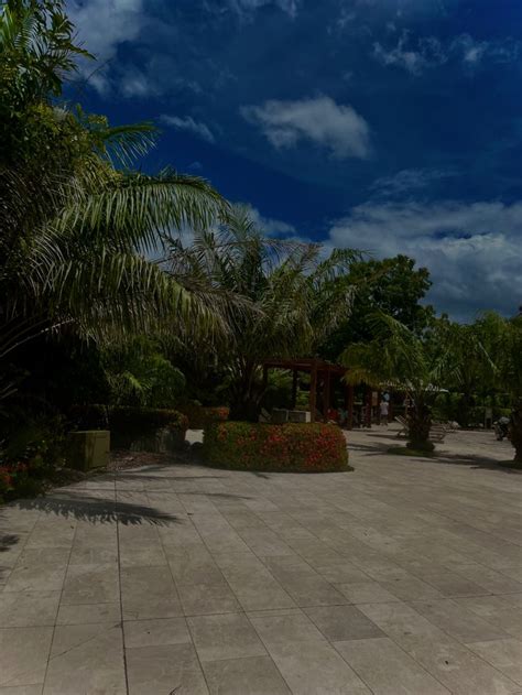 ปักพินโดย Ashlynn ใน Quick Saves