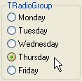 GroupBox RadioGroup