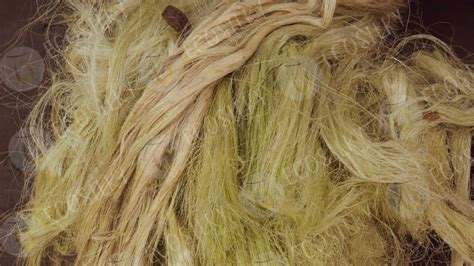 Banana Fiber Properties Softness To Durability Ecosilky