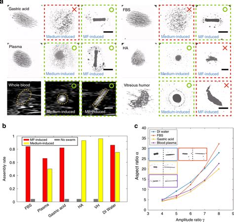 Experimental Validations For The Prediction A The Generation Processes