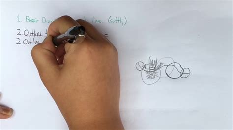 How To Draw Sea Cucumber YouTube