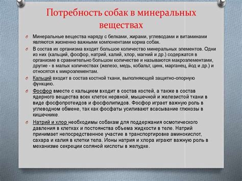 Особенности пищеварения у собак и котов. Питательные и биологически ...