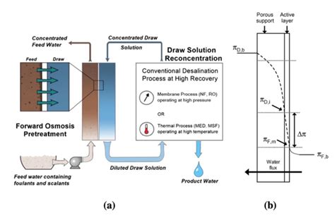 A Schematic Representation Of A Forward Osmosis Process Reproduced