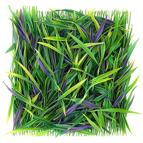 Bluebunch Wheatgrass Lush Green Grass With Yellow Dragonflie Fresh
