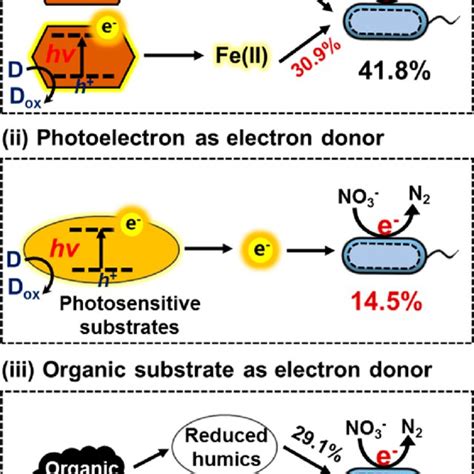 Pdf Sunlight Significantly Enhances Soil Denitrification Via An