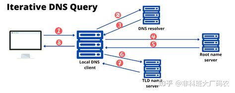 协议森林 图解dns：从域名到ip地址的全过程 知乎