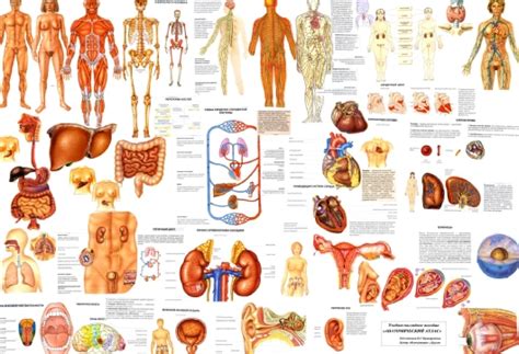 Pay Someone To Do Online Class Hire Classes Help