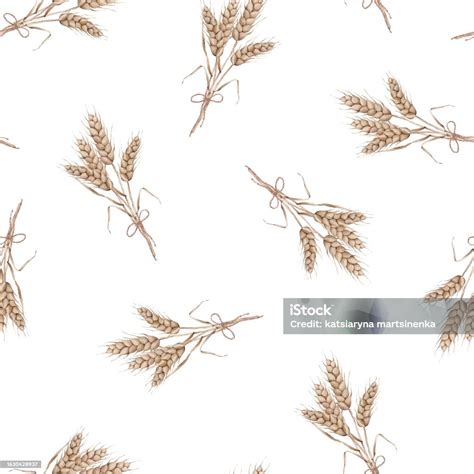 이음새가 없는 밀 작은 이삭 패턴 밀 스피카 귀리 작은 이삭 삽화 직물 월페이퍼 빵집 장식이 있는 수채화 허브 배경 가을 수확 작물 가을에 대한 스톡 벡터 아트 및 기타