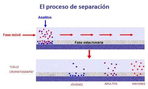 What Is Chromatography A Powerful Yet Simple Technology That You Can Do At Home For Non