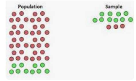 STATS Types Of Bias Biased Sampling Class Flashcards Quizlet