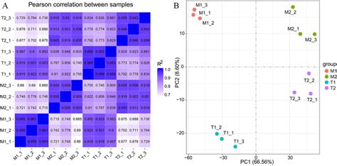 A The Inter Sample Correlation Heatmap Is Based On Pearson Correlation Download Scientific