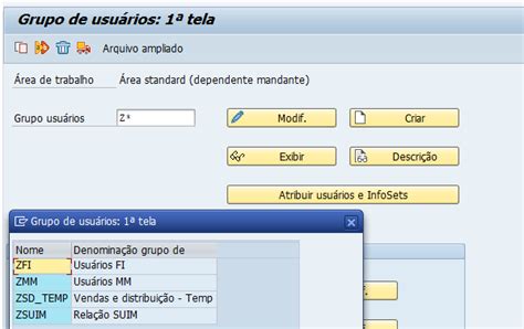 criação e manutenção de sap queries sq01 sq02 sq03 by bruno