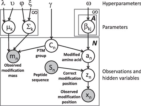 A Bayesian Network Describing The Generative Model For Our New