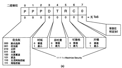 tcp ip 协议报头速查 晒太阳的猫