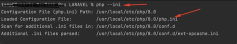 Laravel 42 Php Artisan Command Run Out Memory With 32gb Of Ram