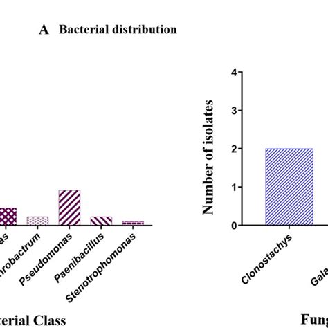 Diversity Analysis Of A Bacterial Isolates Obtained From Three Download Scientific Diagram