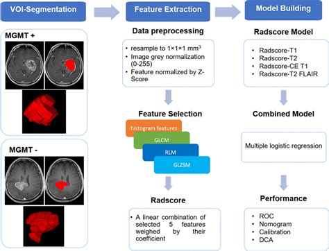 Workflow Of Texture Analysis To Detect Methylguanine Methyltransferase
