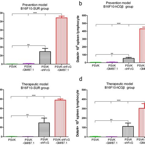 Measurement Of Ifn γ Secretion Using An Elispot Assay Splenocytes Were