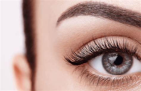 Eyebrow Grooming Eyebrow Shapes Eyebrow Threading Brisbane