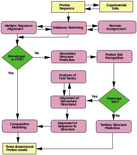 Function Prediction Using 3d Structure Study Genomic Context Based Download Scientific Diagram