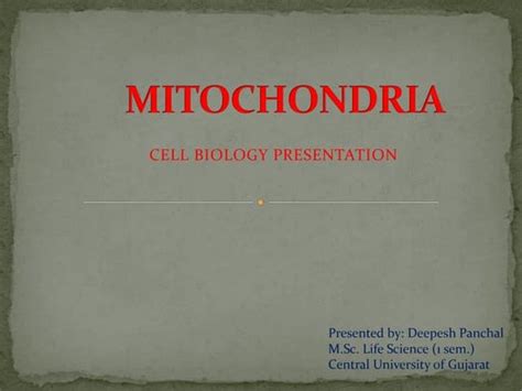 Mitochondria (introduction function & Structure) | PPT